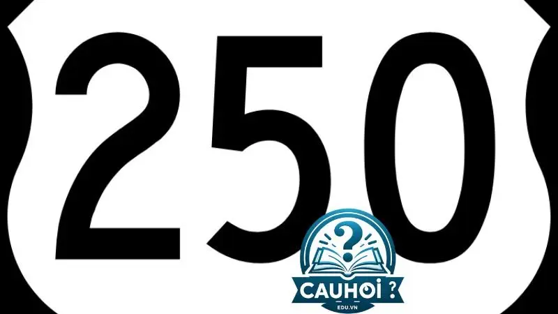 250 là gì? Giải mã ý nghĩa con số 250 trong nhiều lĩnh vực