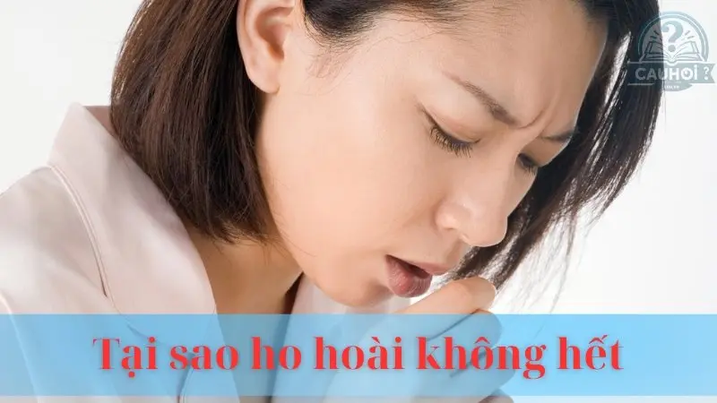 Tại sao ho hoài không hết : Nguyên nhân và cách điều trị