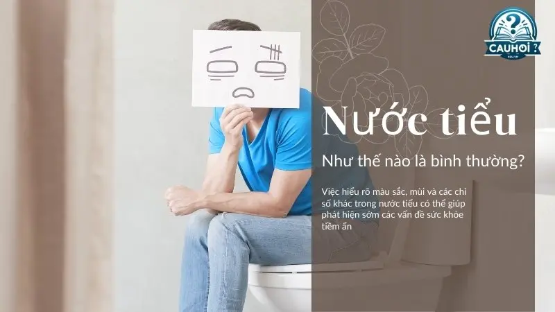 Nước tiểu như thế nào là bình thường? Dấu hiệu cho thấy bạn khỏe mạnh