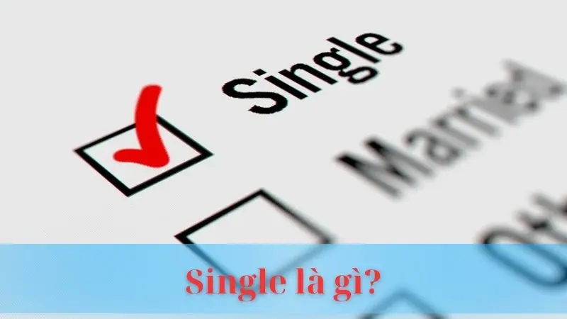 Single là gì? Giải mã thuật ngữ single trong mọi lĩnh vực