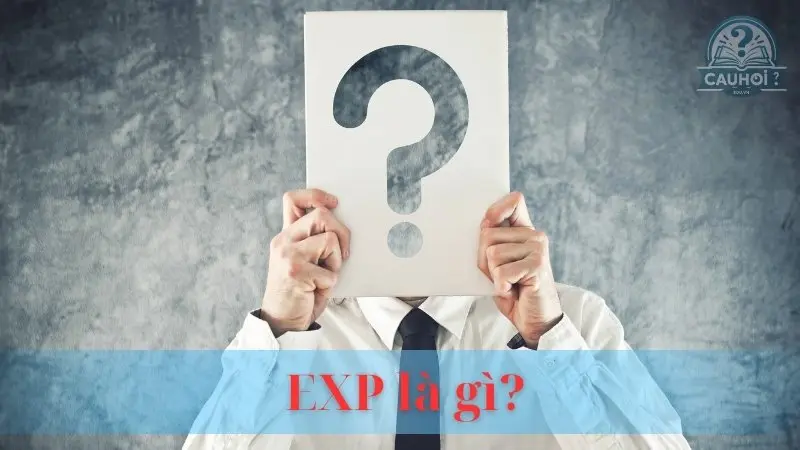 Exp là gì? Ý nghĩa thực sự của EXP trong nhiều lĩnh vực