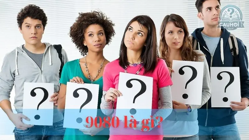 9080 là gì? Ý nghĩa và ứng dụng của mã số 9080