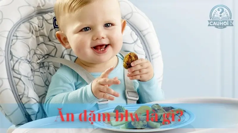 Ăn dặm BLW là gì? Lợi ích và cách áp dụng ăn dặm BLW